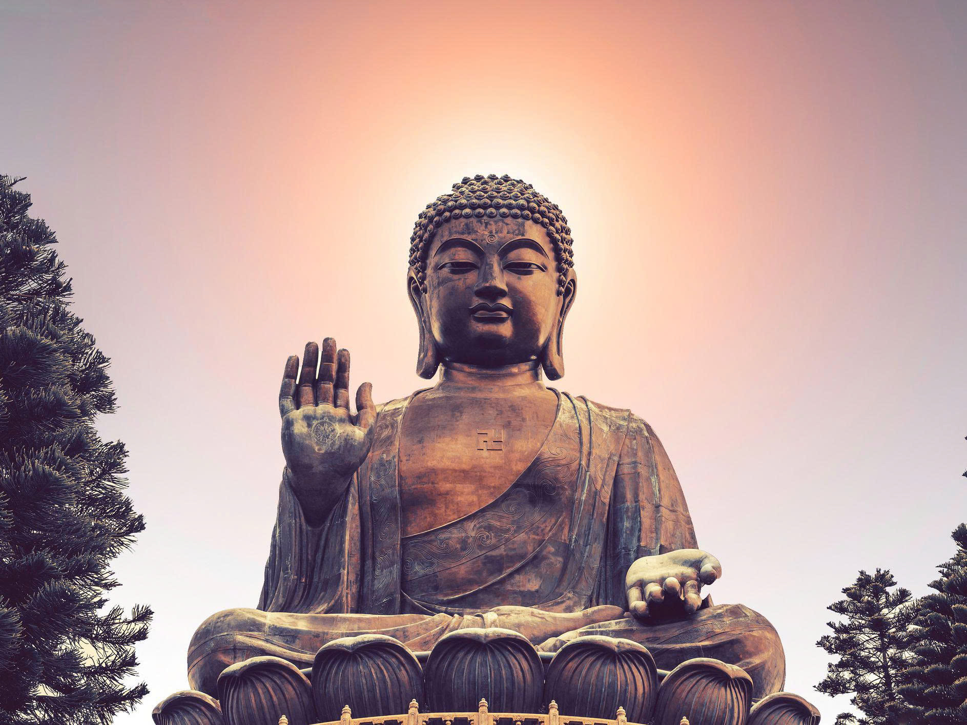 Caution Grasshopper! – Object123